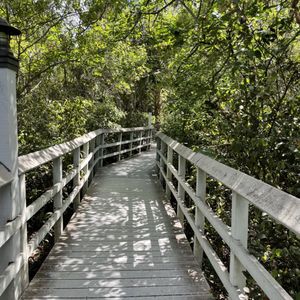 FERN FOREST NATURE CENTER - 378 Photos & 64 Reviews - 201 S Lyons Rd ...