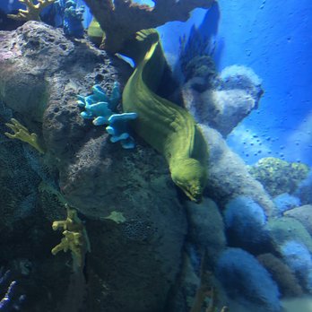 JENKINSON’S AQUARIUM - Updated October 2025 - 482 Photos & 150 Reviews - 300 Ocean Ave, Point ...