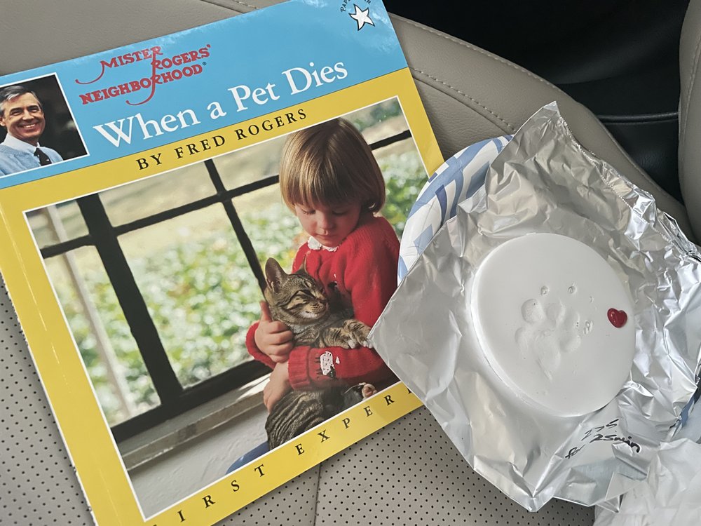 LAGUNA VETERINARY CARE - Updated July 2024 - 14 Photos & 41 Reviews ...