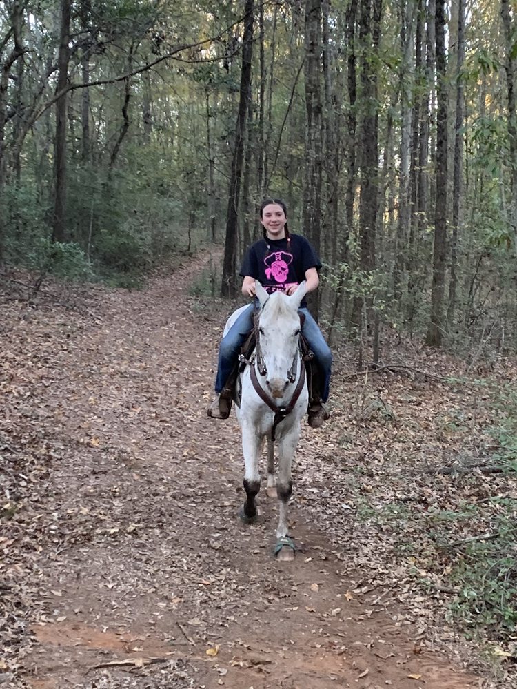 CAIN’S GREENER PASTURES - Updated July 2025 - 22 Photos - 2614 Locust ...