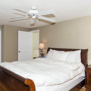 BOB THE TREE GUY - 430 Champlain Rd, North East, Maryland - Tree ...