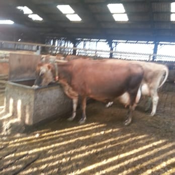 WHEELBIRKS PARLOUR - Updated April 2025 - Stocksfield, Stocksfield ...