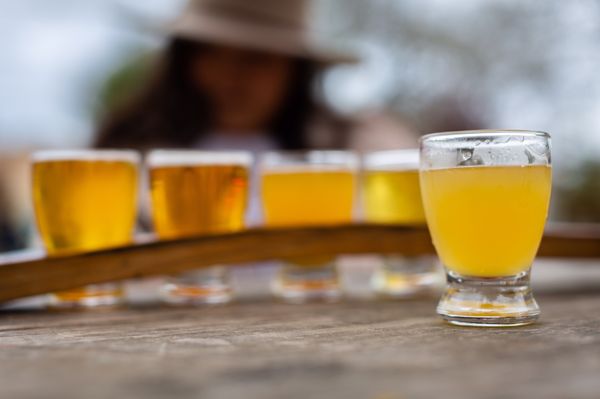 BARRELHOUSE BREWING CO - 752 Photos & 469 Reviews - 3055 Limestone Way ...