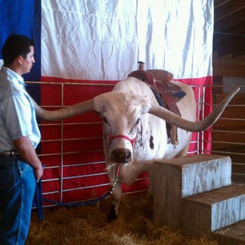 CIRCLE R RANCH with photos - Updated August 2024 - 49 Photos & 16 ...