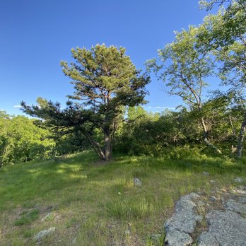 WHIPPLE HILL - Updated July 2025 - 17 Photos - 1625 Massachusetts Ave ...