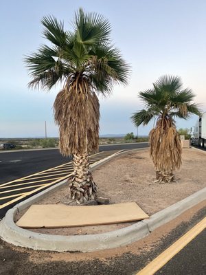 SENTINEL REST AREA - Updated January 2026 - 47 Photos & 14 Reviews ...