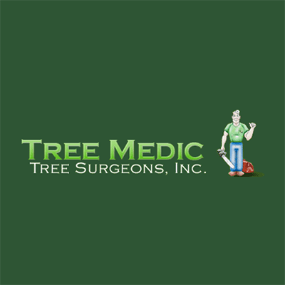 TREE MEDIC TREE SURGEONS - Updated December 2025 - 900 Anastasia Blvd ...
