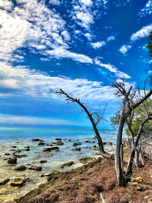 BOCA CHICA BEACH AREA - 171 Photos & 15 Reviews - Naval Air Base, Key ...