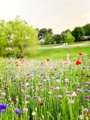 CROWLEY PARK - Updated December 2025 - 121 Photos & 22 Reviews - 2400 ...