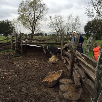GEORGE RANCH HISTORICAL PARK - Updated March 2025 - 100 Photos & 43 ...