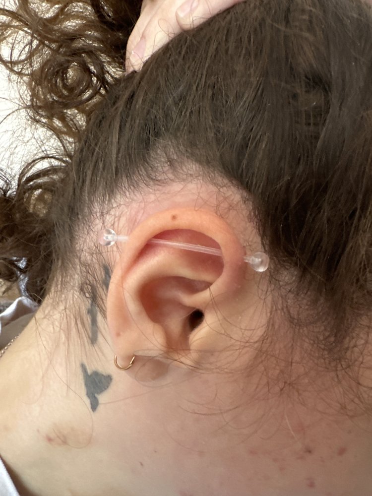 POISON IVY INK | 3730 Central Ave, St. Petersburg, Florida - Tattoo ...