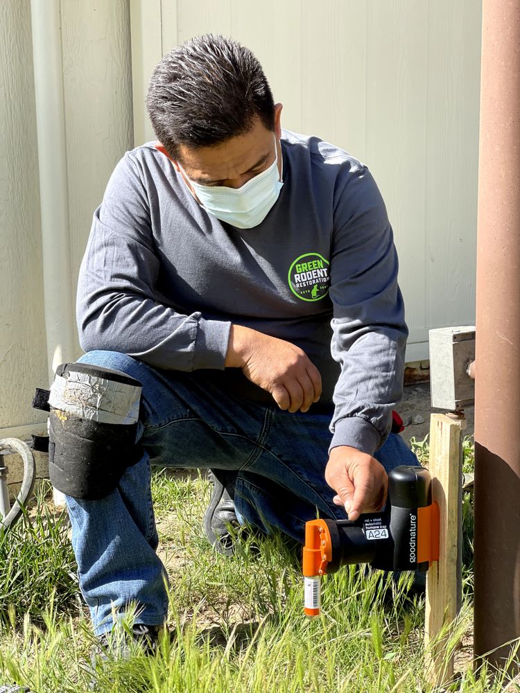 GREEN RODENT RESTORATION - Updated October 2025 - 14 Photos - 29870 N ...