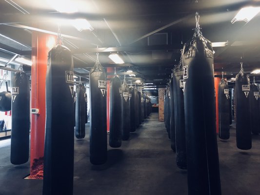 TITLE BOXING CLUB - 18 Photos & 32 Reviews - Gyms - 226 Causeway ...