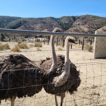 QUAIL RUN RANCH - Updated August 2025 - 129 Photos & 50 Reviews - 44380 ...