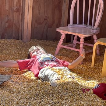 TEMPLE HALL FARM PARK - Updated October 2025 - 57 Photos & 25 Reviews ...