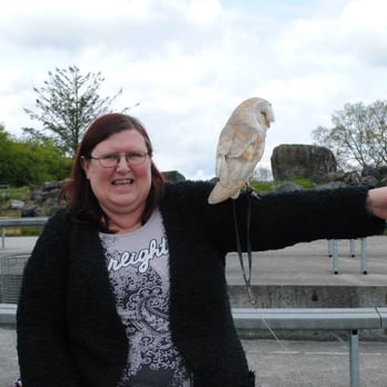 THE IRISH RAPTOR RESEARCH CENTRE - Updated April 2025 - Ballymote ...