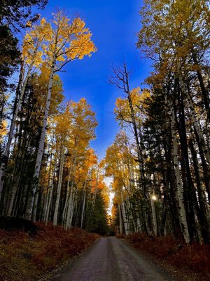 ASPEN NATURE LOOP - Updated December 2025 - 55 Photos & 18 Reviews ...