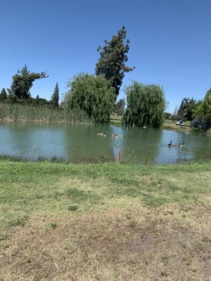 RANCHO DEL REY GOLF CLUB - Updated December 2025 - 22 Reviews - 5250 ...