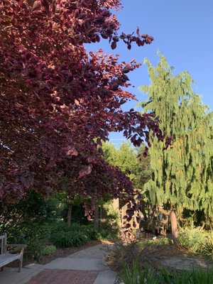 KENT/MSU EXTENSION GRAND IDEAS GARDEN - Updated December 2025 - 10 ...