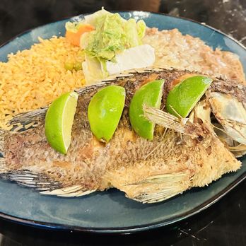 EL SAUZ COCINA MEXICANA - Updated September 2024 - 35 Photos & 32 ...