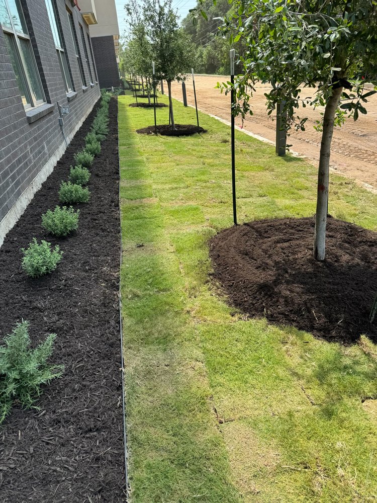 ROBLES LANDSCAPING - Updated October 2025 - Austin, Texas - Landscaping ...