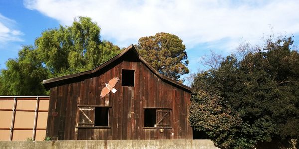 CALIFORNIA RAPTOR CENTER - Updated March 2025 - 39 Photos & 19 Reviews ...