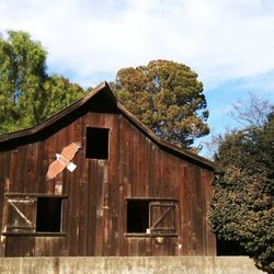 CALIFORNIA RAPTOR CENTER - 37 Photos & 16 Reviews - 1340 Equine Way ...