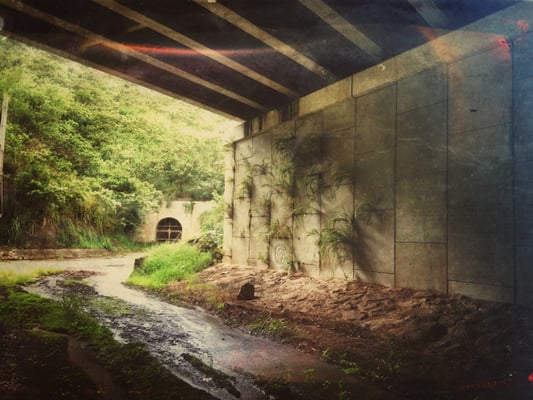 HALAWA RIDGE TRAIL - Updated August 2025 - 99-1268 Iwaena St, Aiea ...