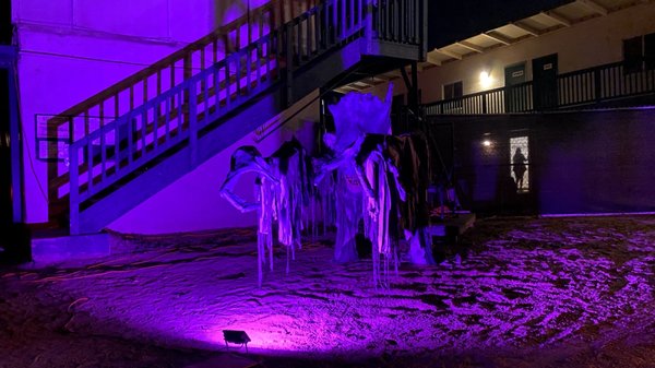 THE SCREAM ZONE with 166 Reviews & 102 Photos - 2260 Jimmy Durante Blvd ...