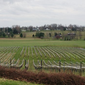 GRANDVIEW VINEYARD - 110 Photos & 52 Reviews - 1489 Grandview Rd, Mount ...