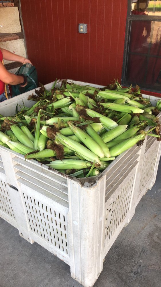 RED BARN - Updated October 2025 - 6446 Valdosta Hwy, Manor, Georgia ...