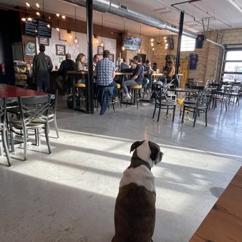 AMORPHIC BEER - Updated December 2025 - 63 Photos & 24 Reviews - 3700 N ...