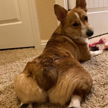 JEN SIAS-LYKE - STATE FARM INSURANCE AGENT - Updated February 2025 - 13 ...