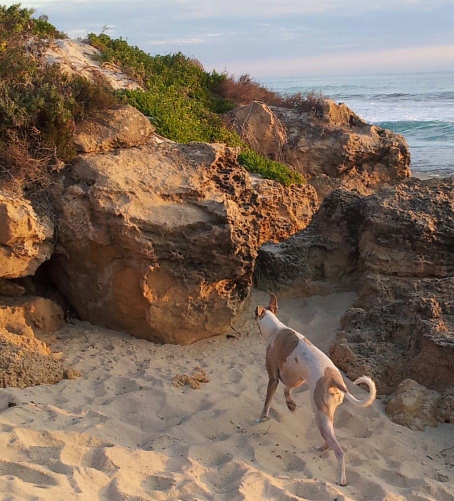 NORTH BEACH - Updated July 2025 - 23 Photos - 1 North Beach Road, North ...