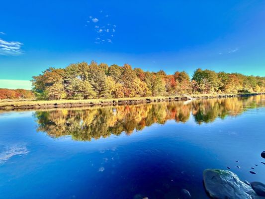 NORRIS RESERVATION - Updated July 2025 - 97 Photos - Dover St, Norwell ...