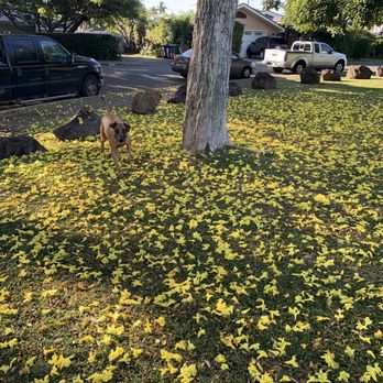 HUNAKAI PARK - Updated July 2025 - 38 Photos & 10 Reviews - 900 Hunakai ...