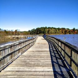 Best Walking Trails Near Me - October 2025: Find Nearby Walking Trails ...