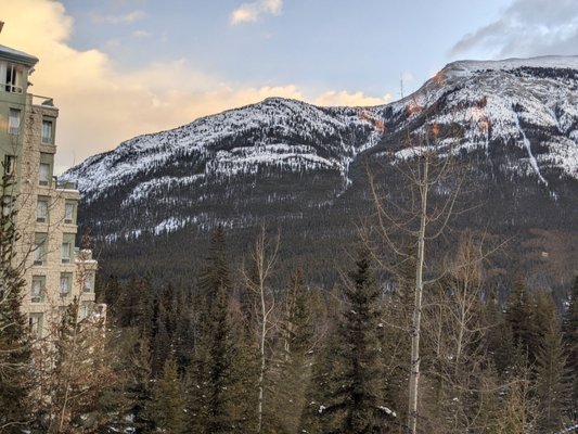 THE PRIMROSE - Updated December 2024 - 59 Photos & 41 Reviews - 300 ...