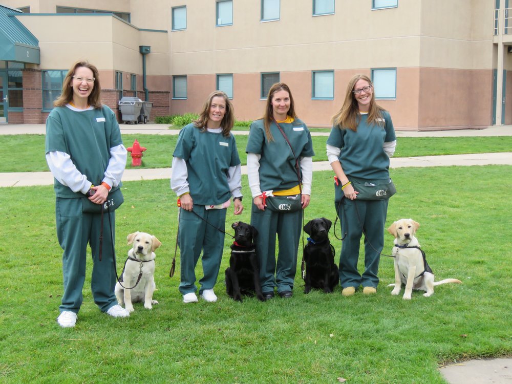 COLORADO CORRECTIONAL INDUSTRIES PRISON TRAINED DOG PROGRAM - 3600 ...