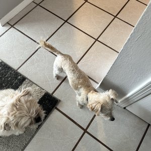 WATERMELON MOUNTAIN RANCH - Updated December 2024 - 52 Photos & 25 ...