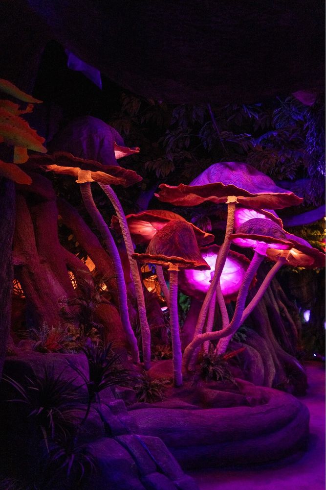 DREAMWALK PARK - Updated February 2025 - 51 Photos - 575 E University ...