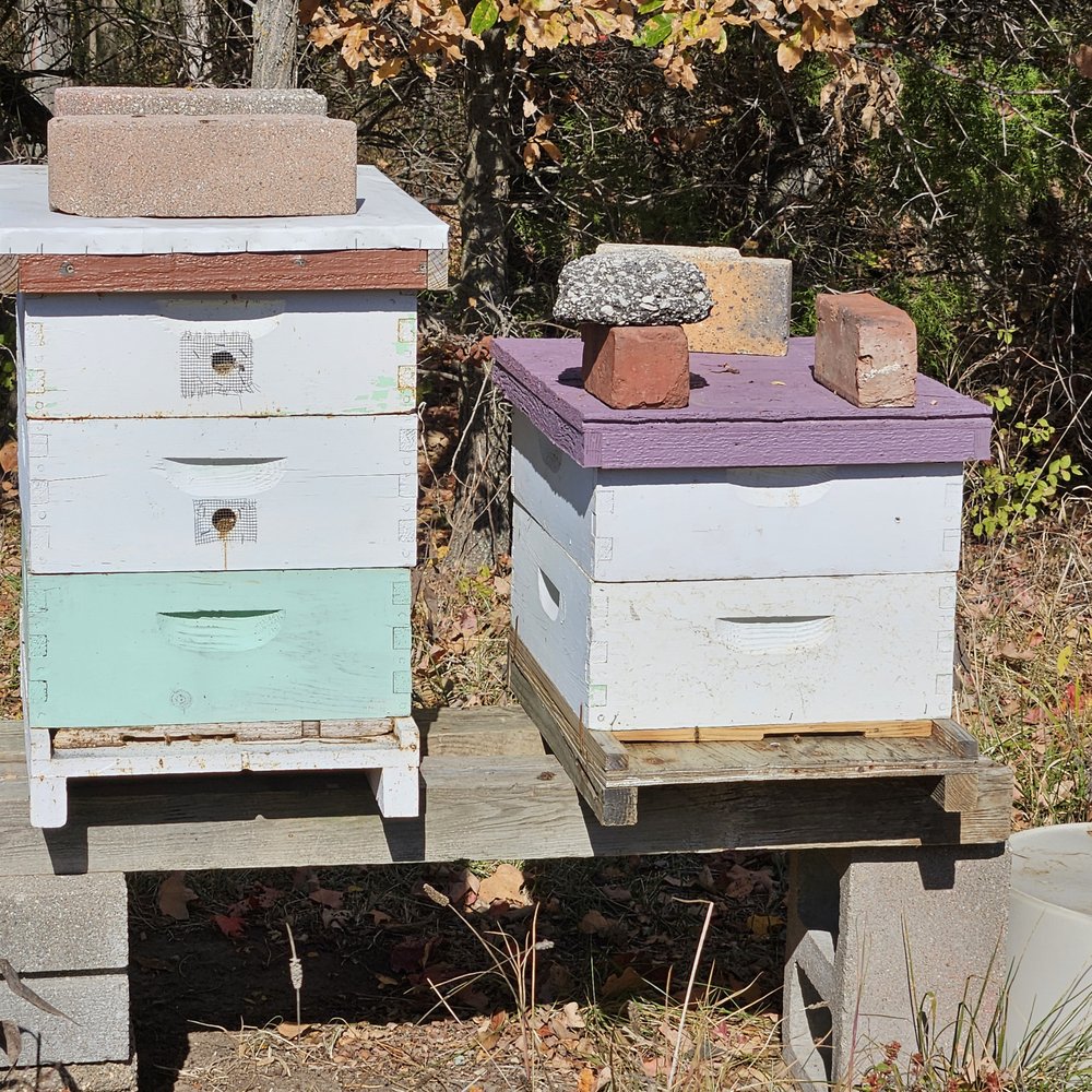 HIDDEN HOLLER HONEY - Updated February 2025 - 47 Photos - 17319 Monroe ...