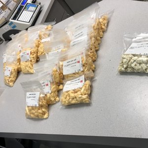 SCRAY CHEESE - Updated December 2025 - 46 Photos & 40 Reviews - 2082 ...