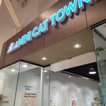 MINI CAT TOWN - MILPITAS - Updated March 2025 - 81 Photos & 22 Reviews ...