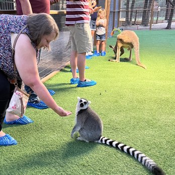 OAK MEADOW RANCH FEATURING THE WHITEHORSE STEAKHOUSE - Updated August ...