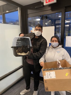 THE CAT CONNECTION - Updated December 2025 - 28 Photos & 13 Reviews ...