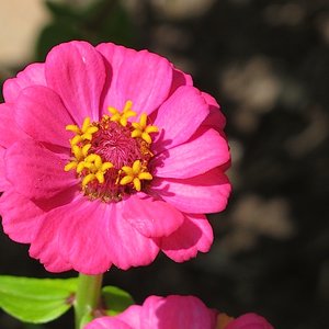 PERINTON PARK - Updated May 2025 - 26 Photos - 167-199 O'Connor Rd ...