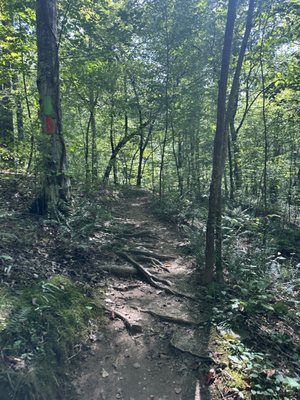 ELACHEE NATURE SCIENCE CENTER - Updated October 2025 - 68 Photos & 15 ...