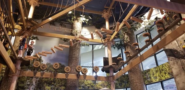 GREAT WOLF LODGE - 209 Photos & 168 Reviews - 1700 American Blvd E ...