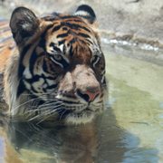 PERA CLUB - Updated January 2025 - 20 Photos & 14 Reviews - 1 E ...